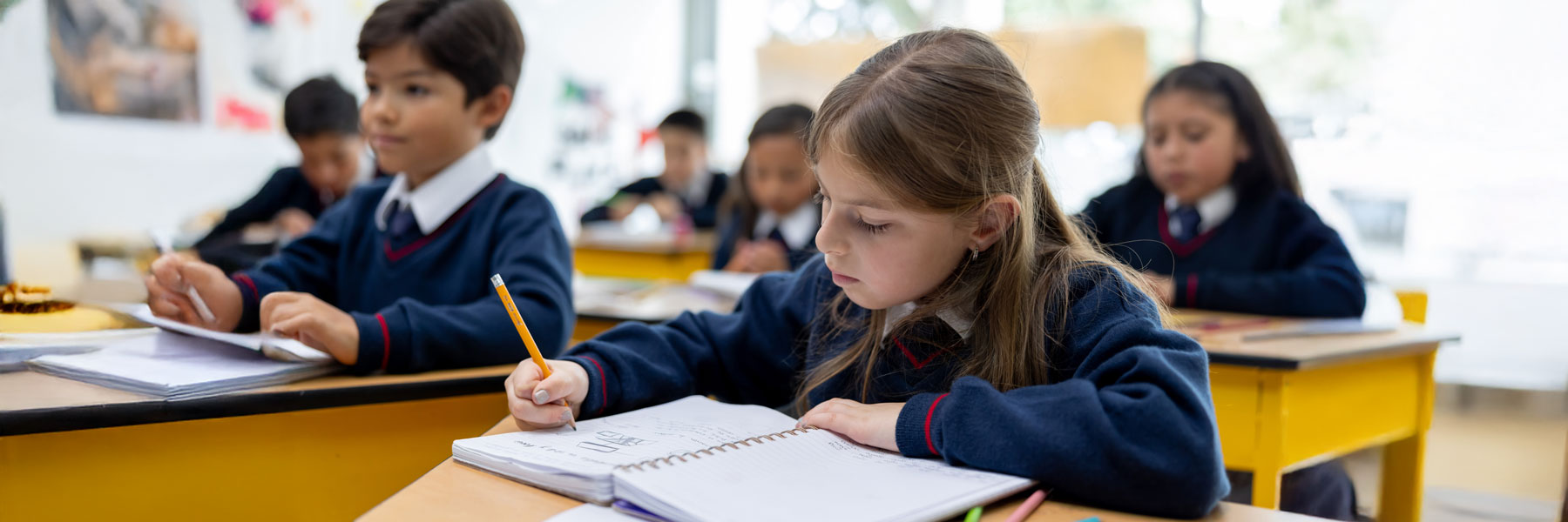Private Gifted Testing vs School Testing in Tampa - Tampa Florida ...